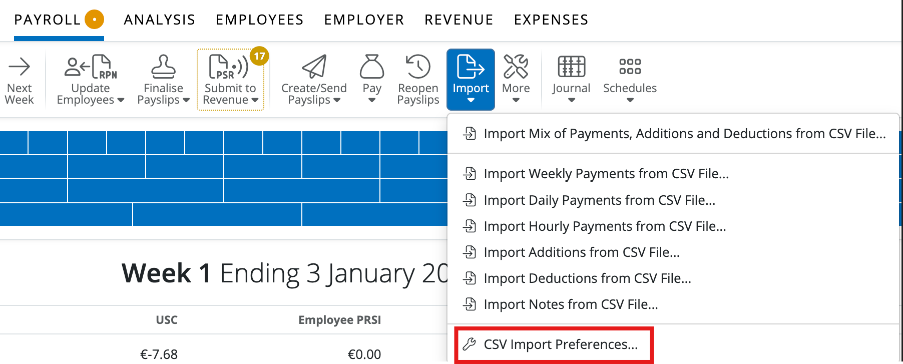 CSV Import Preferences – BrightPay